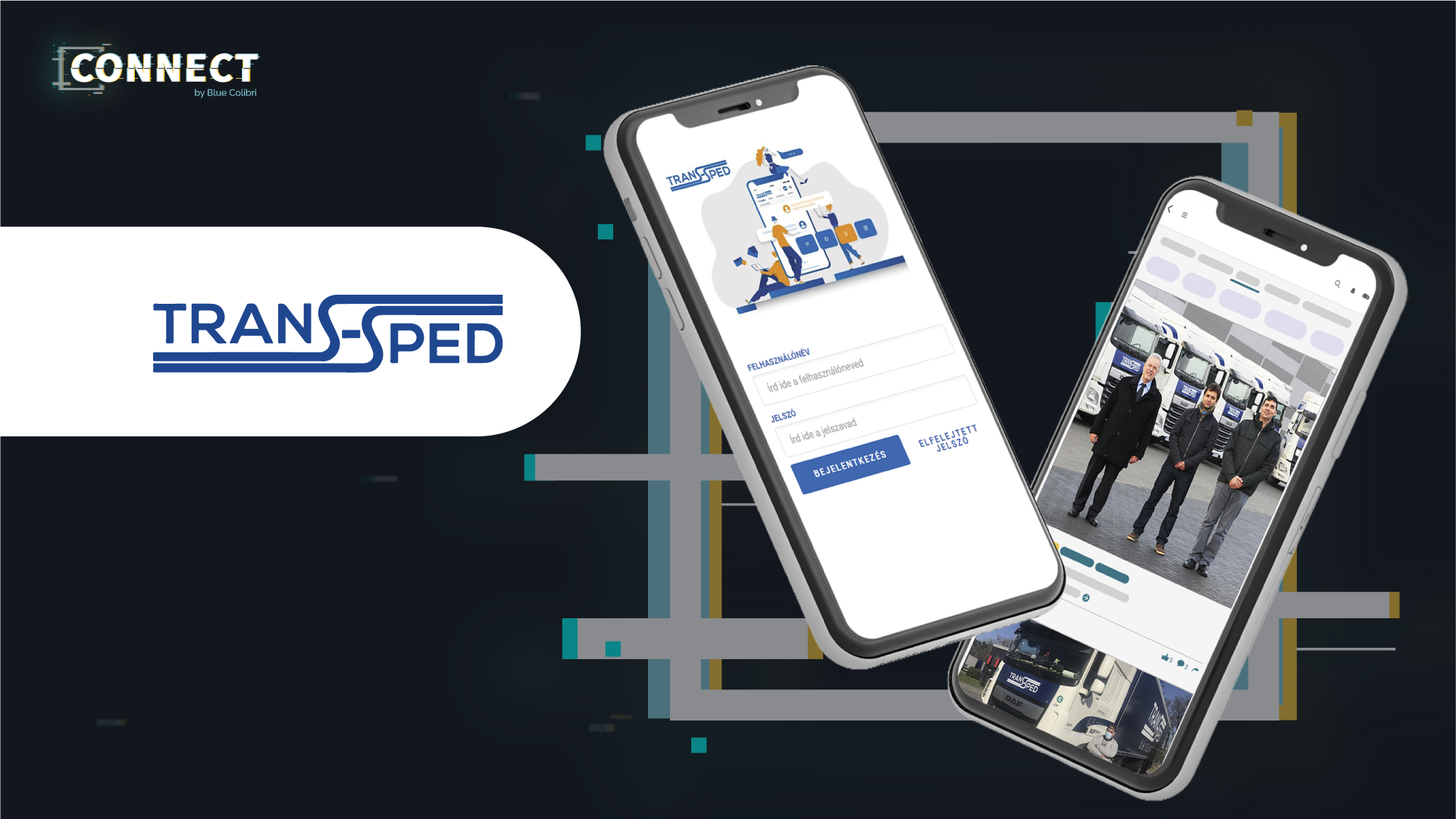 Trans-Sped to Peek Into Digitalization | Blue Colibri